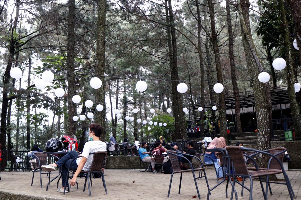 FOTO - Kopi Daong, Sensasi Ngopi di Alam Hutan Pinus - TopBusiness
