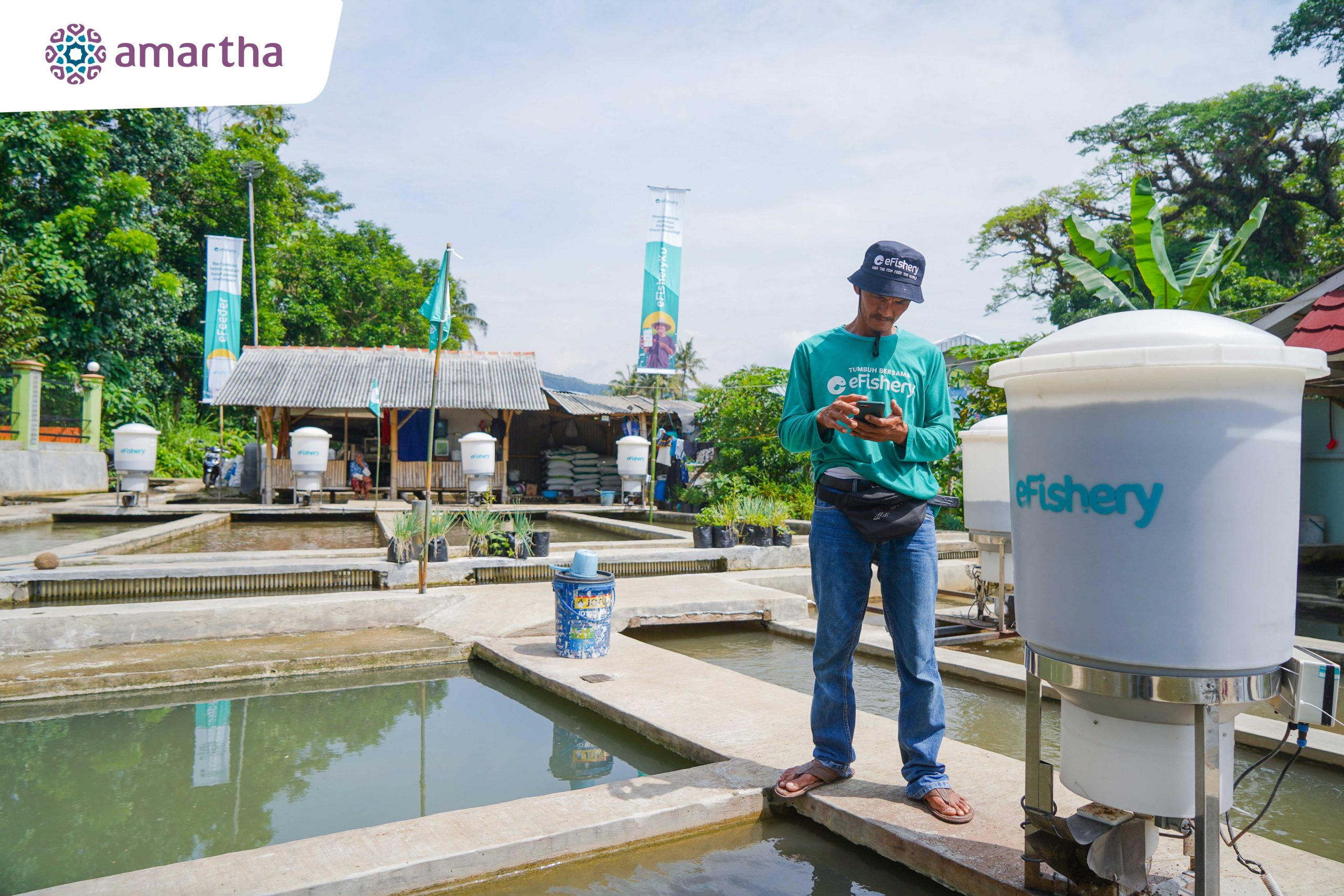 Amartha Gandeng eFishery, Komitmen Salurkan Modal Rp 100 Miliar ...